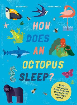 How Does An Octopus Sleep - Pennys Bookstore