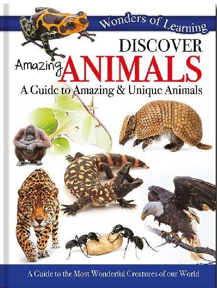 Discover Amazing Animals – Pennys Bookstore