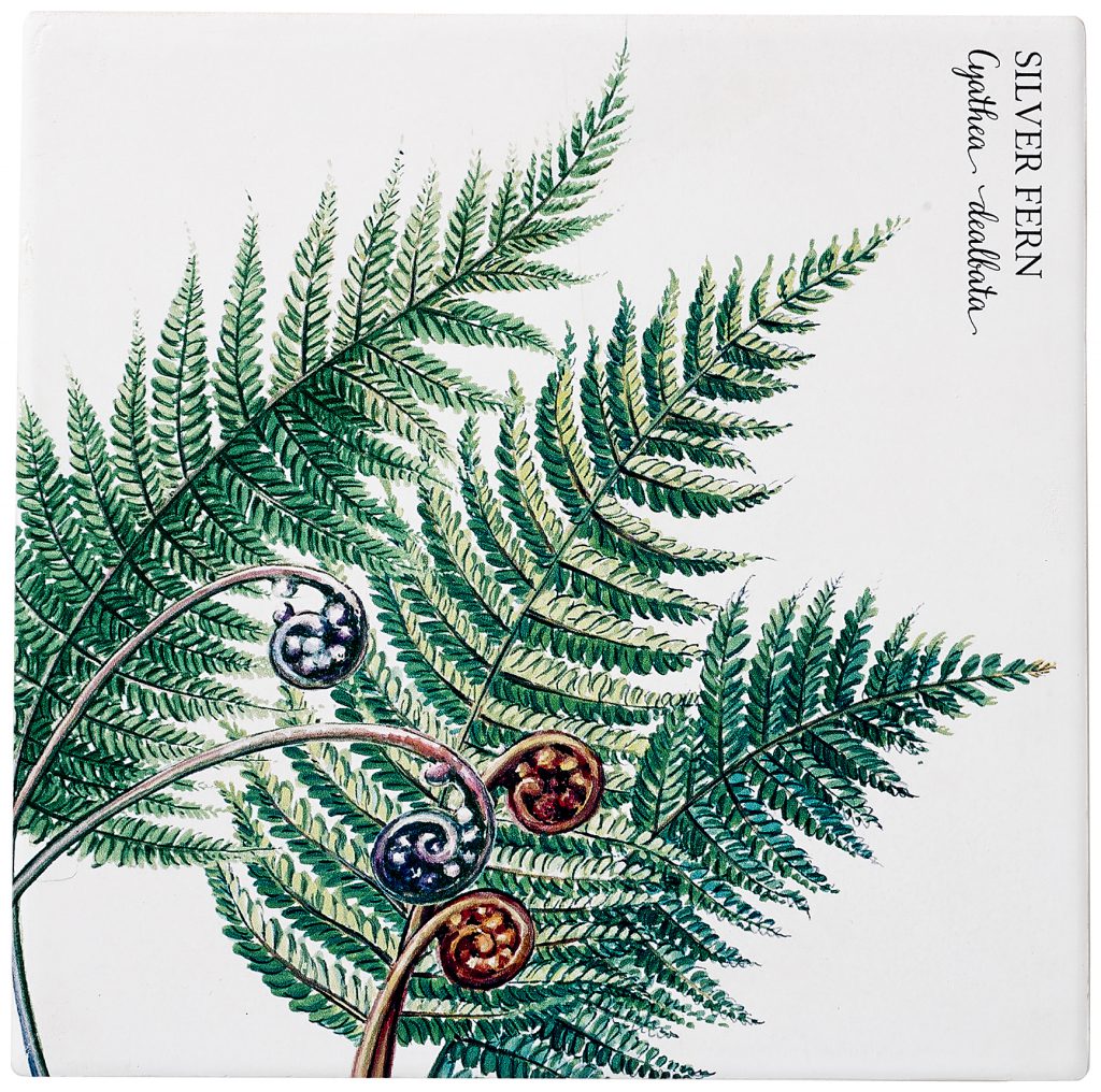 Flowers of NZ Trivet Silver Fern - Pennys Bookstore
